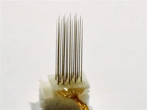 Floating Microelectrode Arrays Fma Mls Microprobes For Life Science