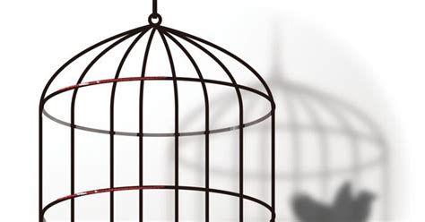 최영미의 어떤 시 144 새장에 갇힌 새caged Bird