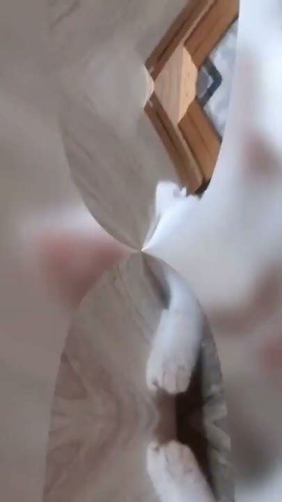 어지러움 주의 바랍니다 ⚠️ 여러분 이벤트 꼭 많이많이 참여 해주세요 계속 이 얘기 나갑니당 5월1일 까지 Youtube