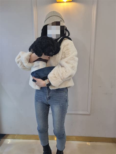 푸들 바다 털빠짐없는브리티쉬숏헤어키우기 털빠짐없는스코티쉬폴드키우기 털빠짐없는러시안블루키우기 털빠짐없는강아지키우기 털빠짐없는고양이키우기 털빠짐없는강아지종류 털빠짐없는고양이종류