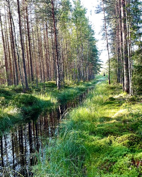 Я настолько довольна жизнью что даже не знаю что сказать У меня есть