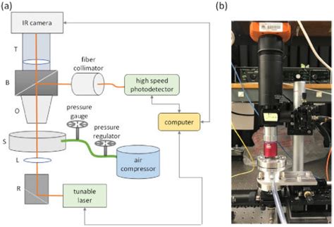 A Schematic Diagram Of The Experimental Setup The Symbols Indicate Download Scientific