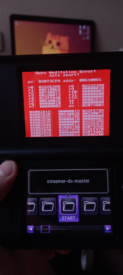 i get this red error screen in twilight menu r ndshacks