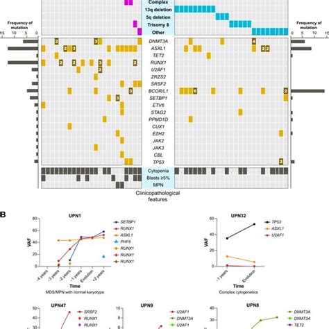 Clonal Landscape Of Somatic Mutations At The Time Of Clonal Evolution A