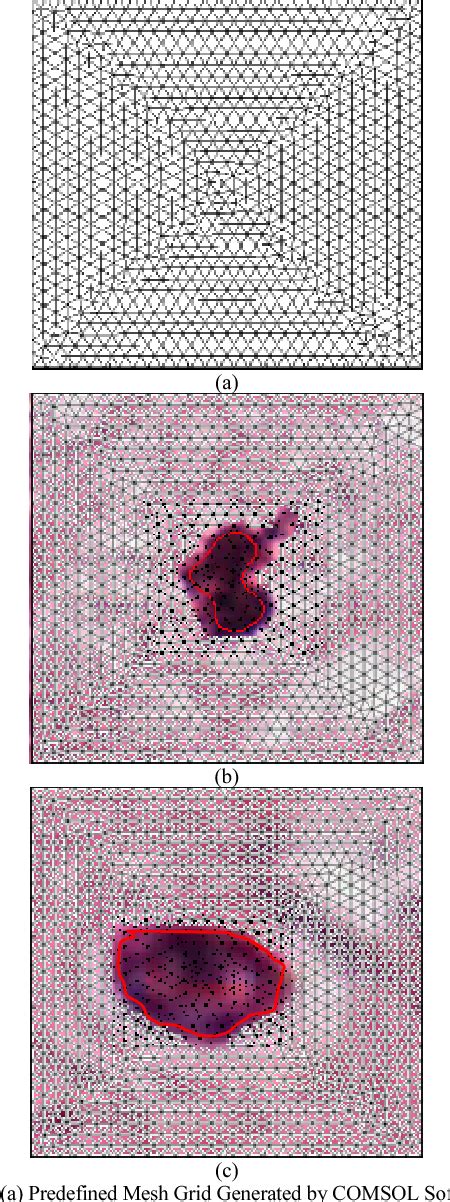 Figure 2 From A Cad Mitosis Detection System From Breast Cancer