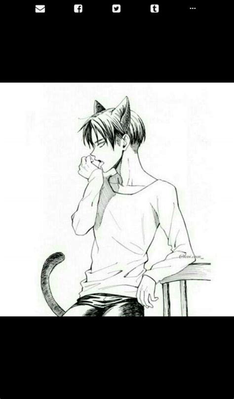 Neko Levi Ackerman Wiki Attack On Titan Amino