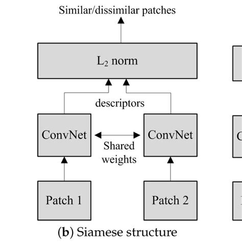 Deep Localization Similarity Measure Dlsm Prediction A Of Download Scientific Diagram