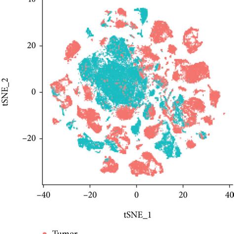 Cell Clustering Of Gse149614 A Tsne Diagram Shows The Total Download Scientific Diagram