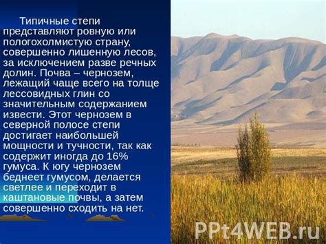 Степи презентация к уроку Географии