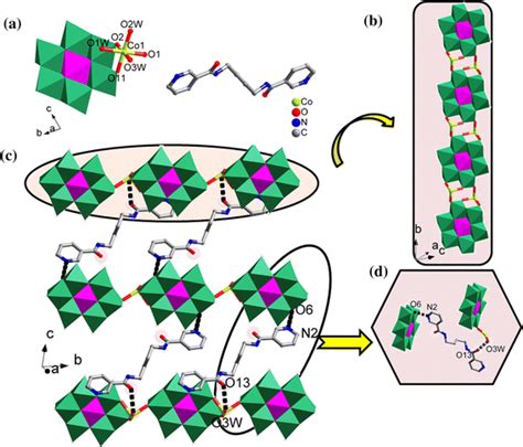 A Coordination Environment Of The Coii Ion In 1 The Hydrogen Atoms And