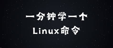 java 一分钟学一个 linux 命令 ls 个人文章 segmentfault 思否