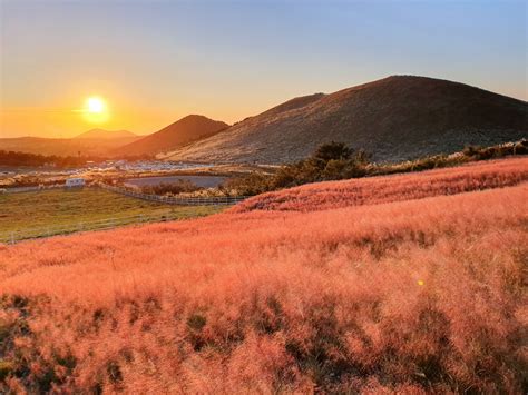 제주도민이 추천하는 가을 제주 명소 3