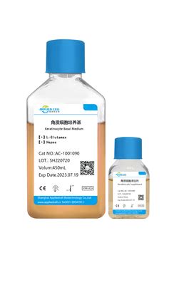角质细胞培养基 上海埃泽思生物科技有限公司