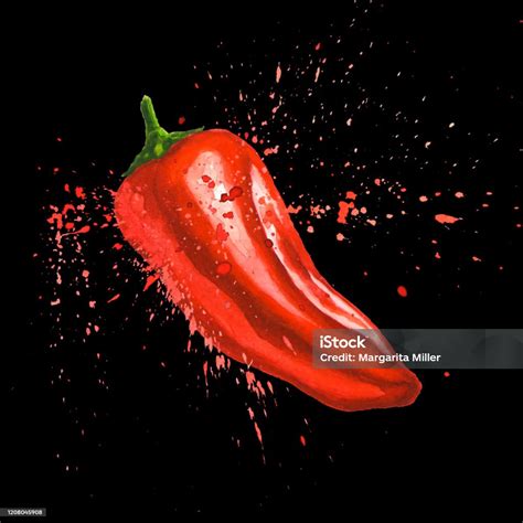 붉은 칠리 페퍼와 스플래시 스프레이 신선한 달콤한 파프리카 검은 색 배경에 고립 된 손으로 그린 수채화 그림 커버 포장 및