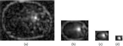 Figure 3 From A Cnn Based Rotation Invariant Fingerprint Recognition System Semantic Scholar