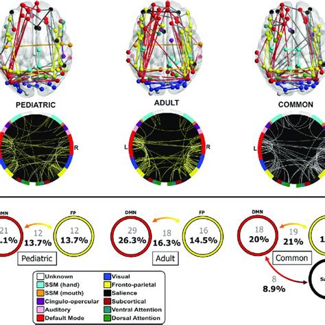 Anova Feature Selection And Svm Classification A Individuals Within Download Scientific