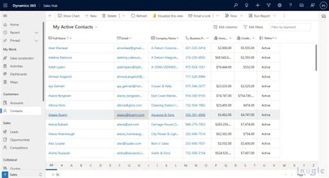 Editable Grid Feature Properties Of Power Apps Grid Control Microsoft Dynamics 365 Crm Tips