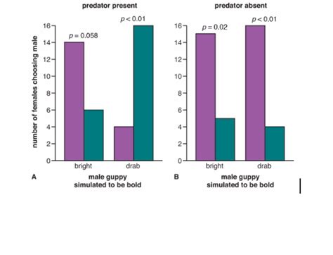 Solved Interpret The P Values For Part A Of The Figure Chegg Com