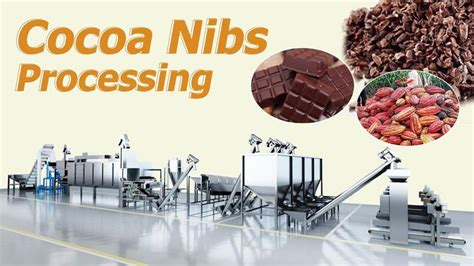 From Cocoa Pod To Cocoa Nibs How To Process Cocoa Bean Cocoa Nibs