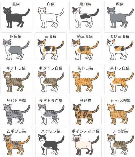 にゃー様 On Twitter 猫 種類 猫 模様 子猫