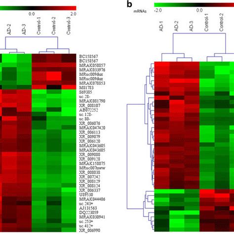 The Heat Map And Hierarchical Clustering Of The Top 40 Differentially