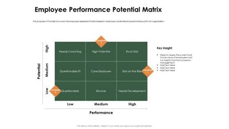 Employee Performance Potential Matrix Development Ppt 9 Box Grid