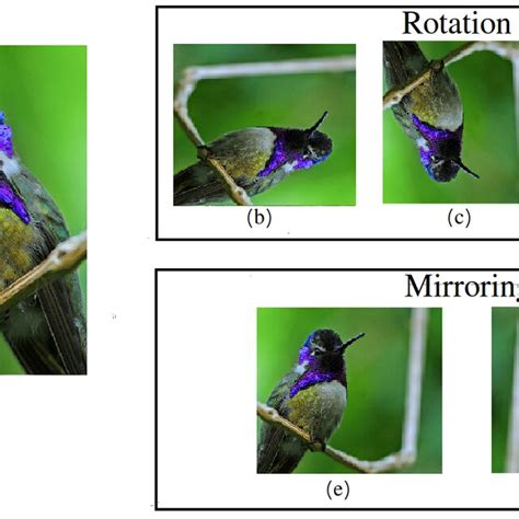 An Example Of Image Manipulation Techniques To Perform Data