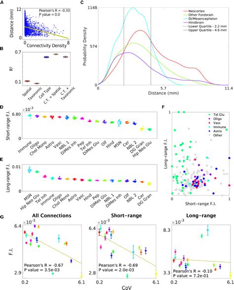 Spatial Cell Type Enrichment Predicts Mouse Brain Connectivity Cell