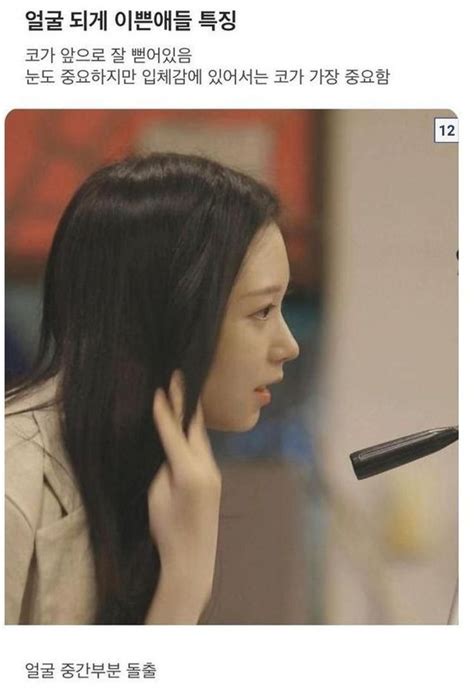 미인 예쁜 여자 특징 이쁜애 얼굴 코가 앞으로 잘 뻗어있음 입체감 중간부분 돌출 오늘의짤방