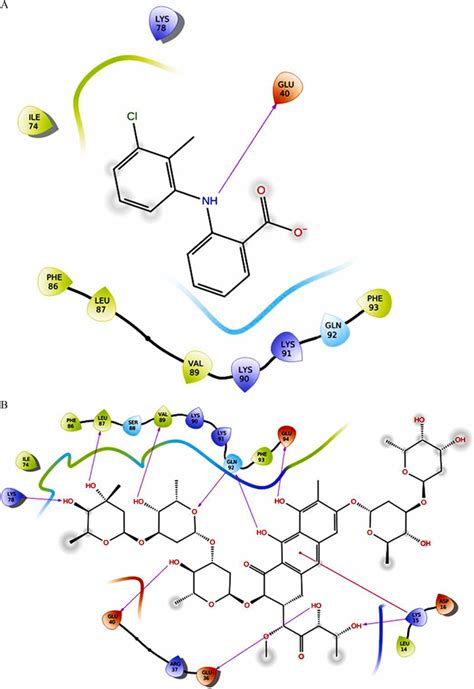 Docking And Molecular Dynamic Simulations Of Mithramycin A And