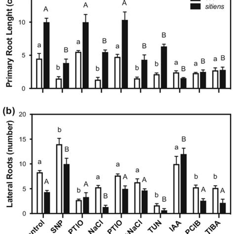Root Growth Measurements Root Length A And Lateral Root Number B Download Scientific