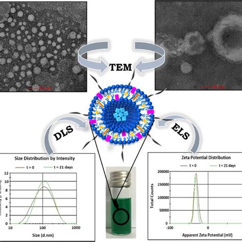 Morphology Imaging Via Transmission Electron Microscopy Tem Size Download Scientific Diagram