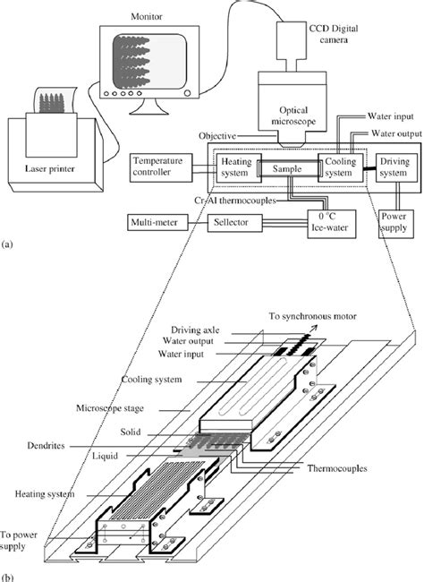 A Experimental System And B The Temperature Gradient Stage