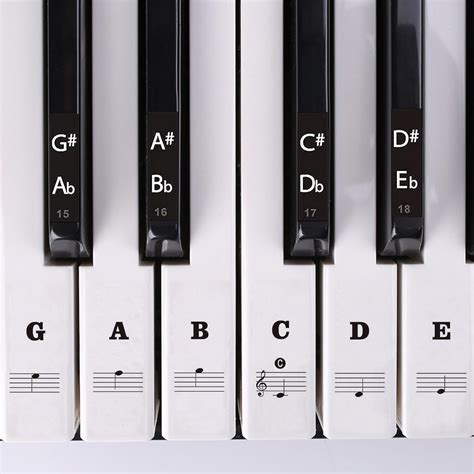 Piano Keyboard Stickers For 8861544937 Keys Removable Piano Key