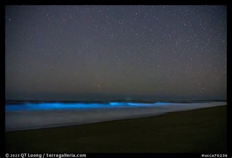 Picturephoto Bioluminescence In Surf Point Reyes National Seashore