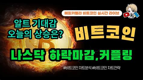 비트코인 실시간 나스닥 하락마감 커플링 알트 기대감 오늘 펌핑은 26 아침💎 비트코인 비트코인실시간 이더리움 리플 Cryptocurrency 차트분석