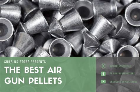 The Best Air Gun Pellets Pick The Right Type For Every Situation Surplus Store