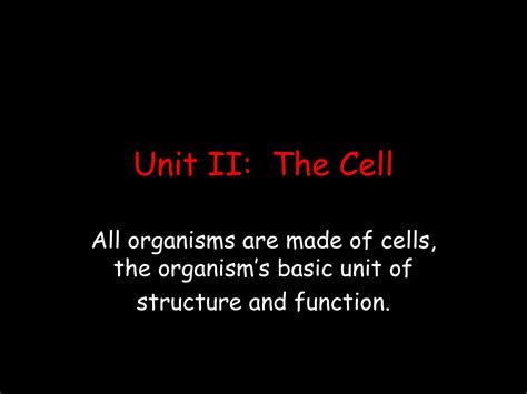 Ppt Exploring The Intricate Cell Structures And Functions Powerpoint Presentation Id 9178261