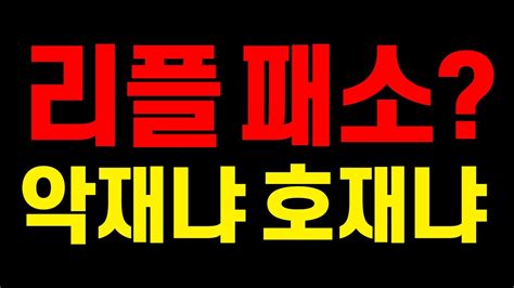 리플 패소 악재냐 호재냐 비트코인 코인선물거래 코인선물 알트코인 코인하는법 코인선물가이드 Youtube