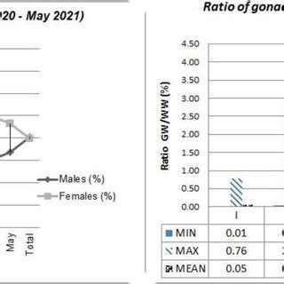 Fluctuation Of Sex And G WW Ratios By Month And Gonad Stages Download Scientific Diagram