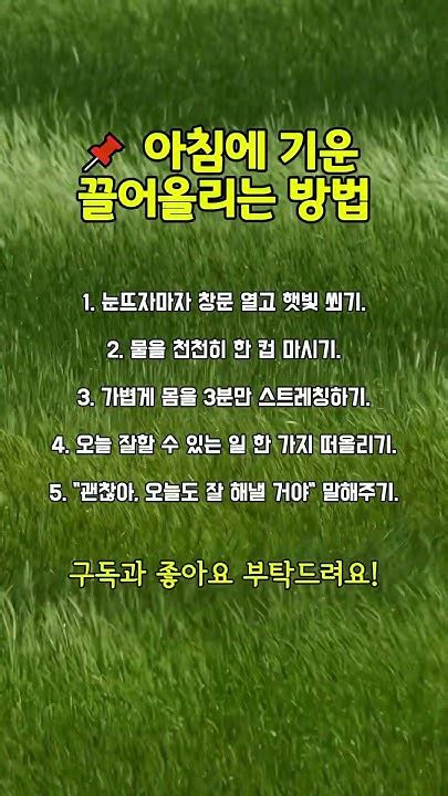 아침에 기운 끌어올리는 5가지 방법☀️ 하루의 에너지는 여기서 시작 Calmon 긍정의말 긍정적마인드 Youtube