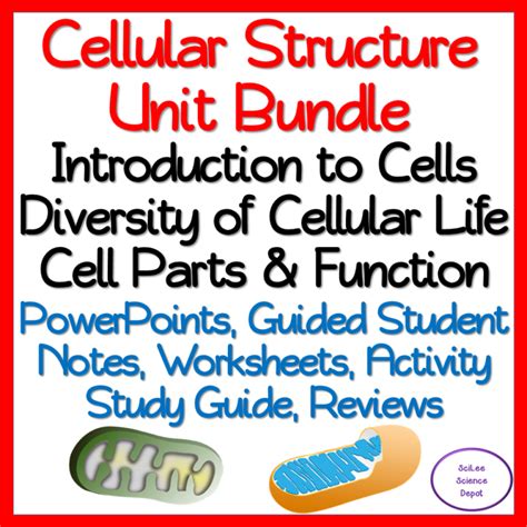 Cellular Structure And Function No Prep Unit Bundle Made By Teachers