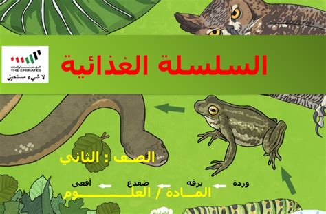 بوربوينت درس السلسلة الغذائية العلوم الصف الثاني سراج