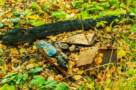 가을 숲에서 땅에 불과 금속 파편의 유적에 플라스틱 병 쓰레기와 노란 단풍이 있는 풍경 개념은 환경보호입니다 0명에 대한 스톡 사진 및 기타 이미지 Istock