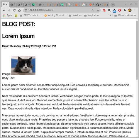 Python Django Not Serving Text Content Second Attempt Stack Overflow