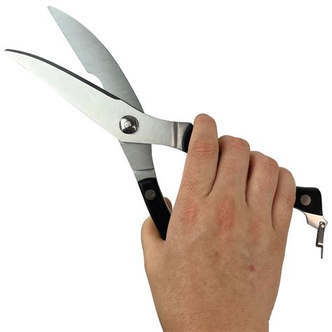 Poultry Vs Kitchen Shears At Gary Delariva Blog