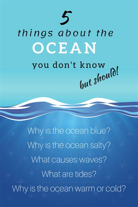 Fun Facts About Ocean Life Onlyfunfacts Planet Vertebrate Longest