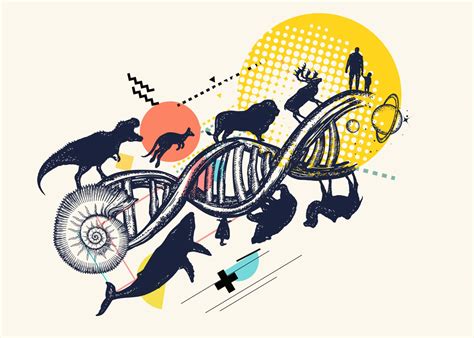 38 Adaptive Facts About Evolution