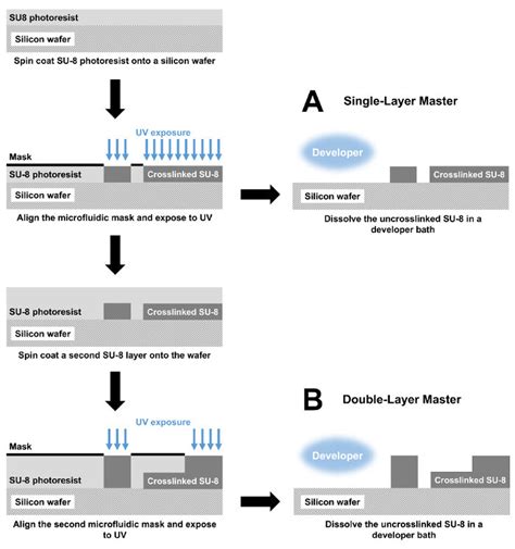Fabrication Of Microfluidic Devices By Photolithography A Master Download Scientific Diagram