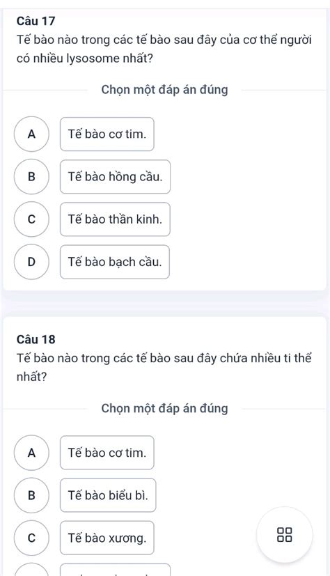 Cu T Bo No Trong Cc T Bo Sau Y Ca C Th Ngi StudyX